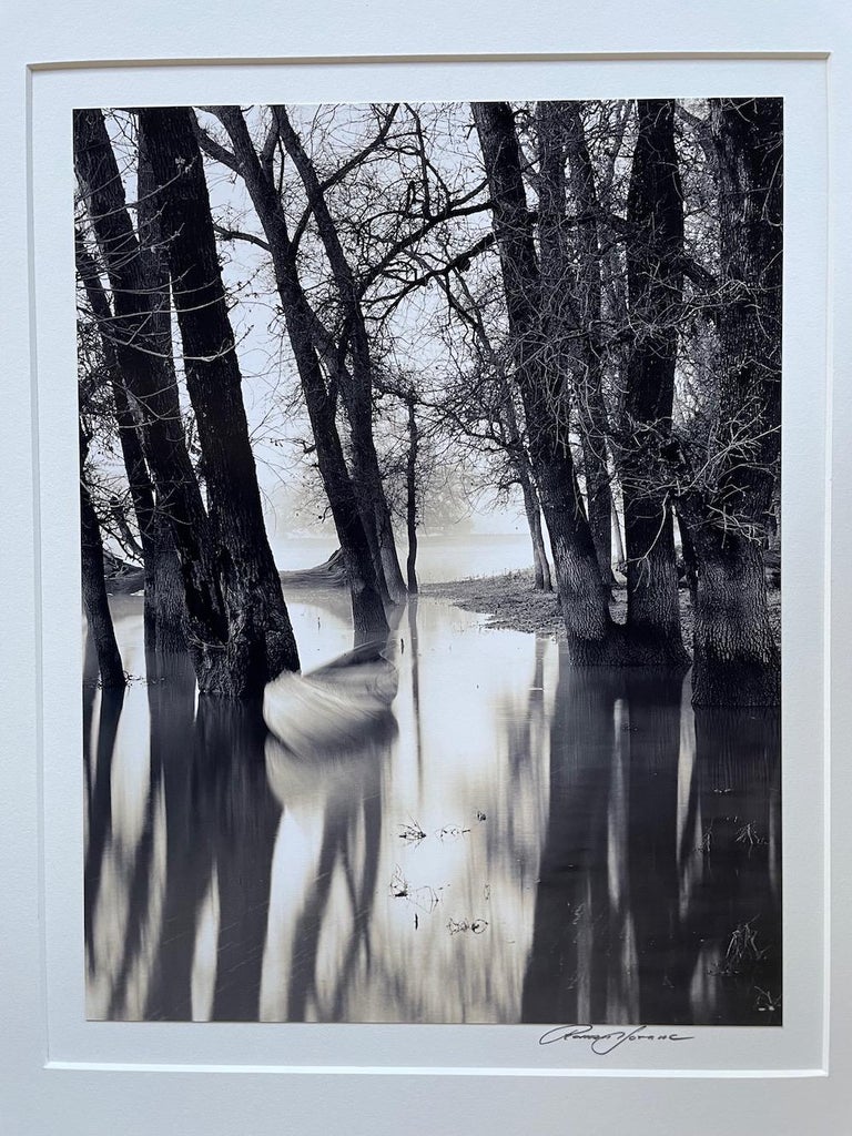 Roman Loranc - Phantom Canoe For Sale at 1stDibs