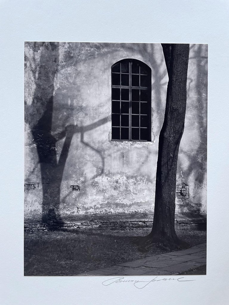 Roman Loranc - Shadow Play For Sale at 1stDibs