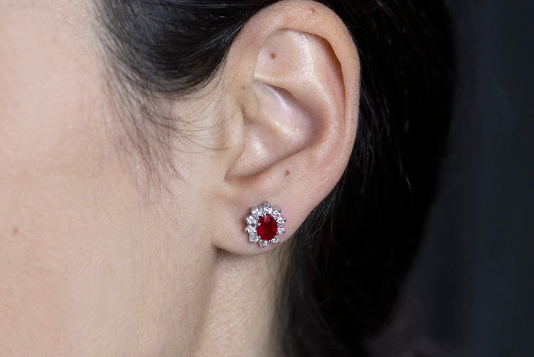 Roman Malakov 2.64 Carat Total Oval Cut Ruby and Diamond Halo Stud ...