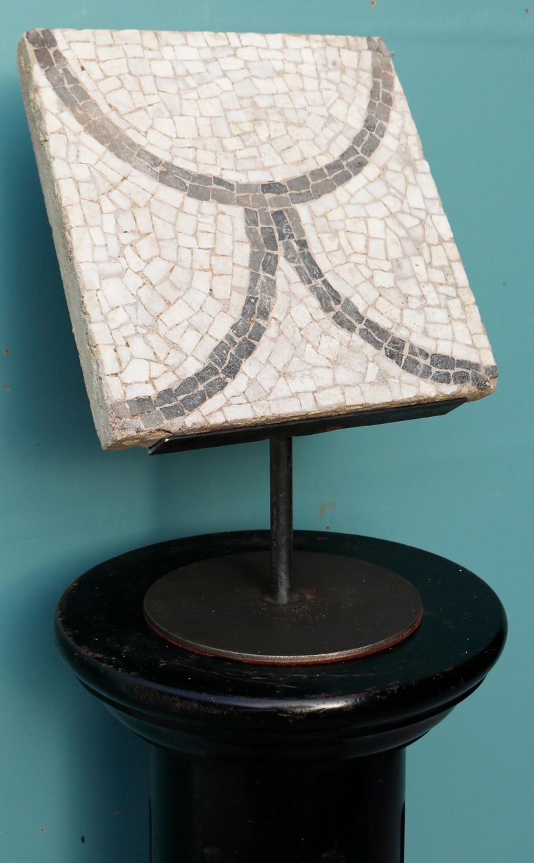 Roman Style Mosaic Floor Fragment For Sale at 1stDibs
