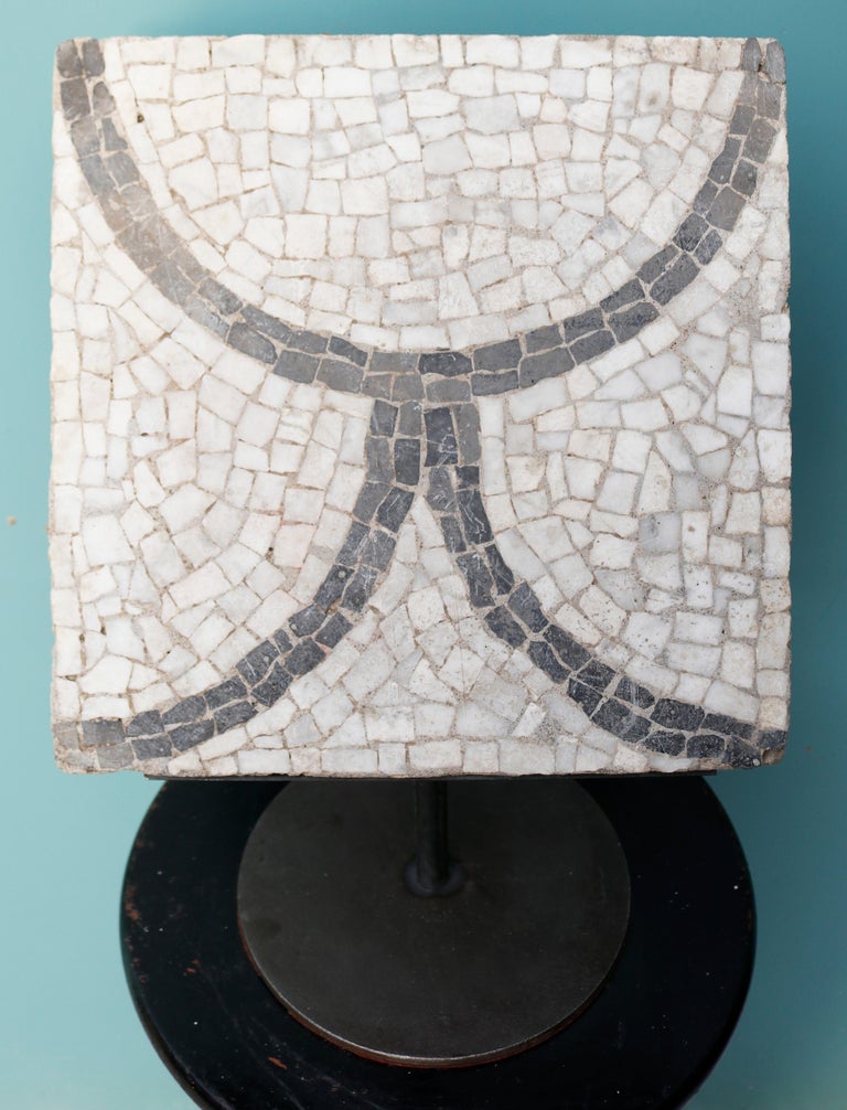 Roman Style Mosaic Floor Fragment For Sale at 1stDibs