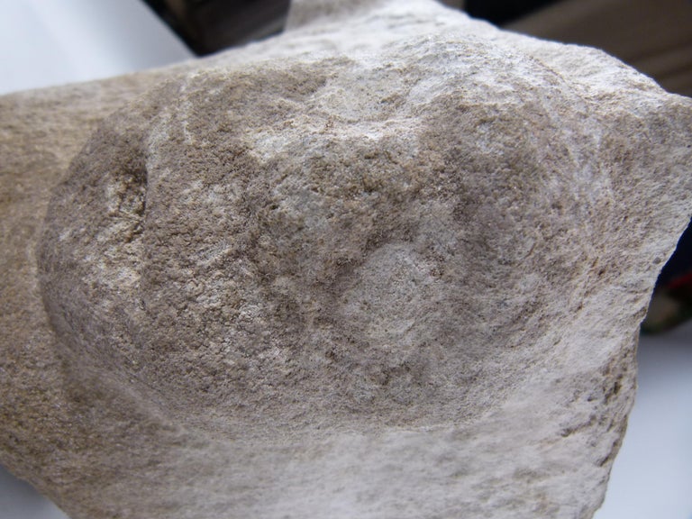 Romanesque Hand Carved Limestone Capital from Spain For Sale at 1stDibs