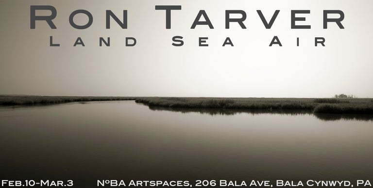 Ron Tarver - Bombay Hook Wildlife Reserve: large black and white ...