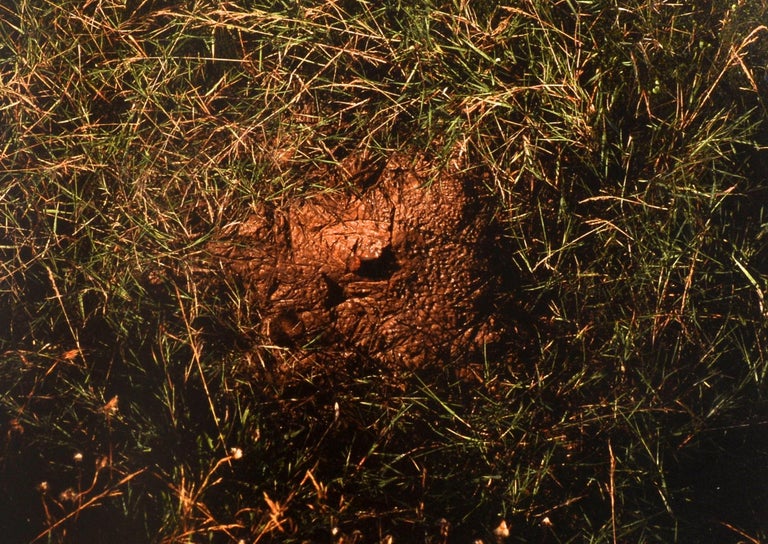 Roni Horn Aka Roni Horn by Roni Horn and Briony Fer, 1st Ed, 2 Volume ...