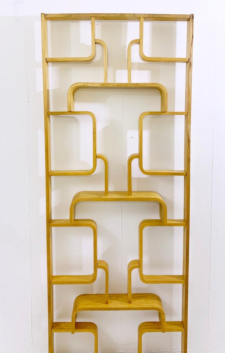 Room Divider by Ludvik Volak for Drevopodnik Holesov, Czech 1960s For ...