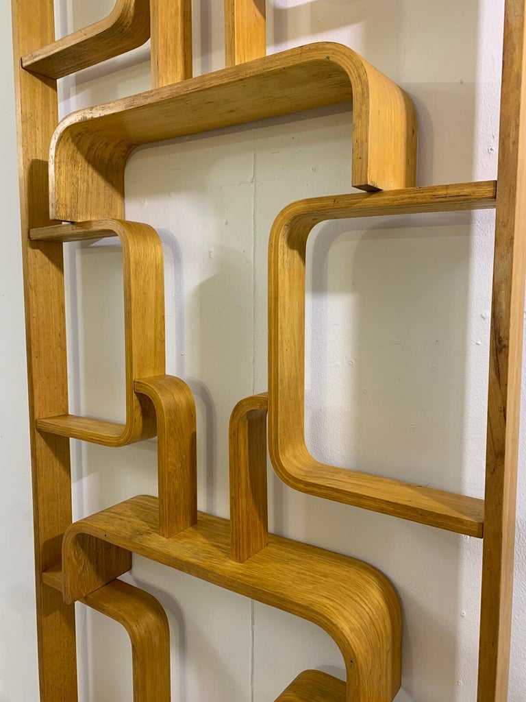 Room Divider by Ludvik Volak for Drevopodnik Holesov, Czech 1960s For ...