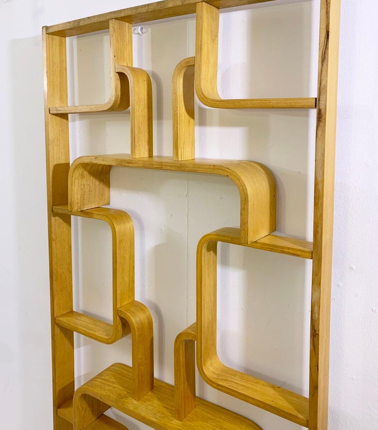 Room Divider by Ludvik Volak for Drevopodnik Holesov, Czech 1960s For ...
