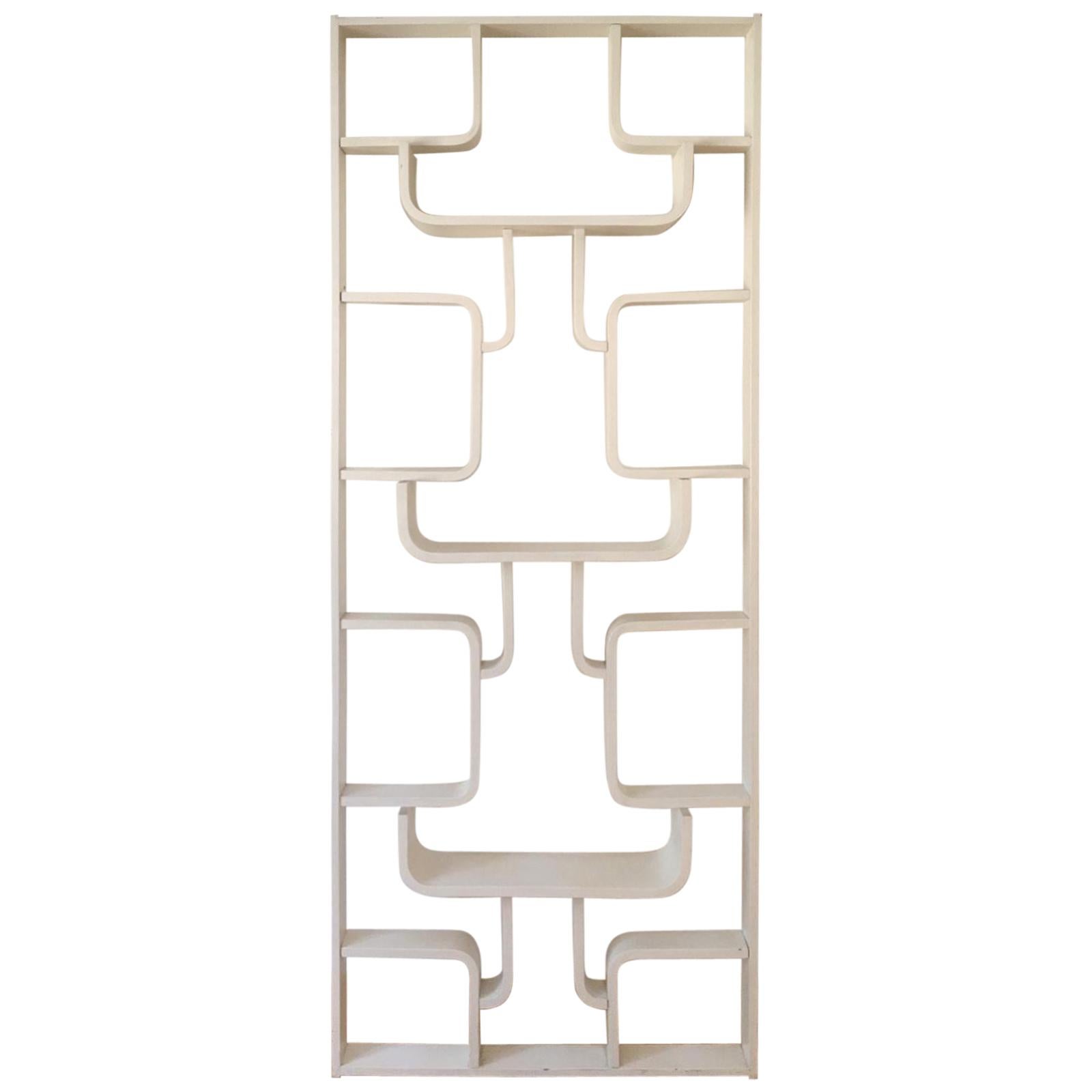 Room Divider Wall Unit by Ludvik Volak for Drevopodnik Holesov, 1960s ...