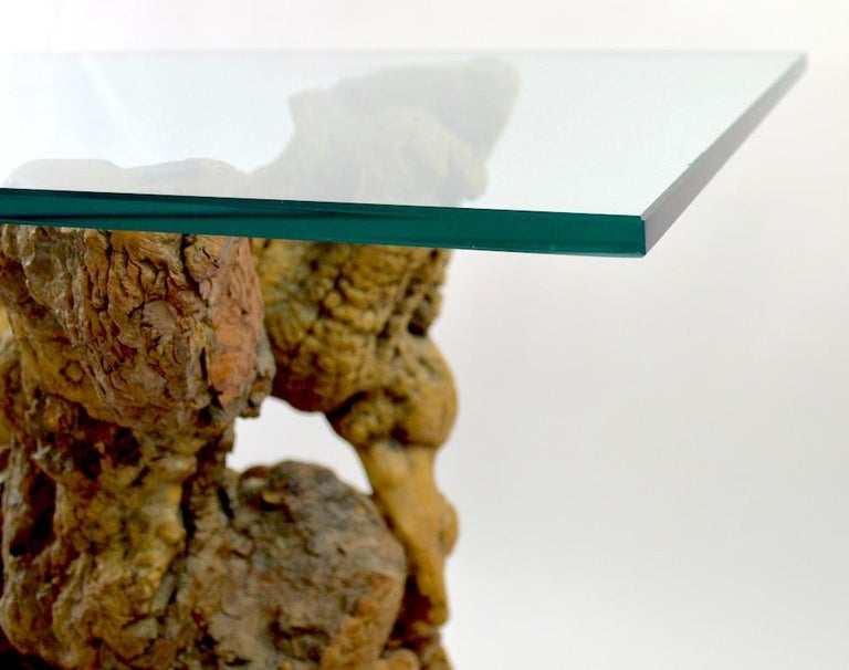 Root Burl Glass Top Console Table For Sale at 1stDibs