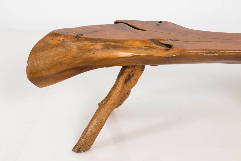 Root Wood Bench For Sale at 1stDibs