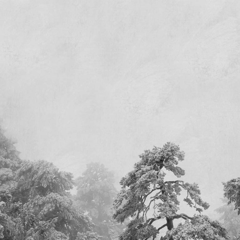 Rosa Basurto - Blanco 2 - White landscape, Winter scene, Contemporary ...