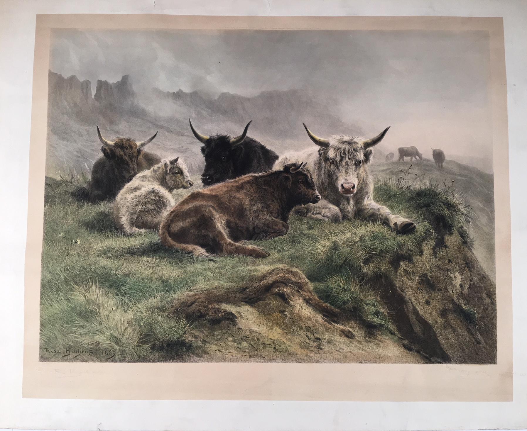 Rosa Bonheur - Highland Cattle by Rosa Bonheur lithograph 1890 at 1stDibs