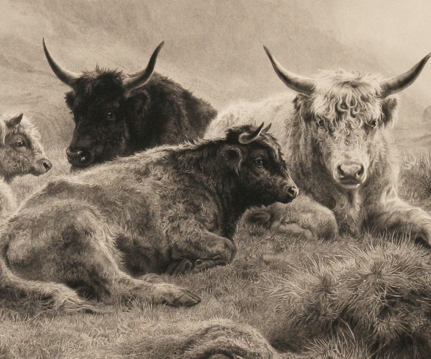 Rosa Bonheur - Highland Cattle by Rosa Bonheur lithograph 1890 at ...