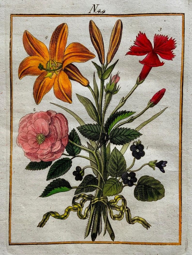 Rose, Tulip, Lily, Joh. Sollerer, Hand Colored Engraving For Sale at ...