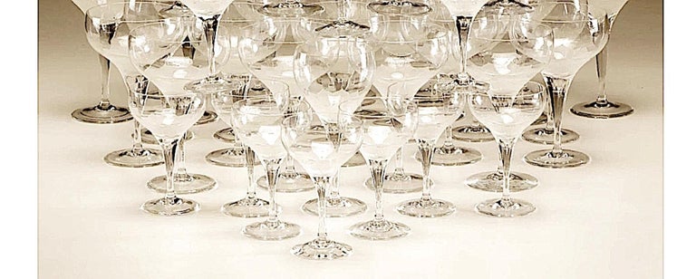 Rosenthal "Lotus Blossoms" 57 piece Stemware-Acid Etched Blossoms ...