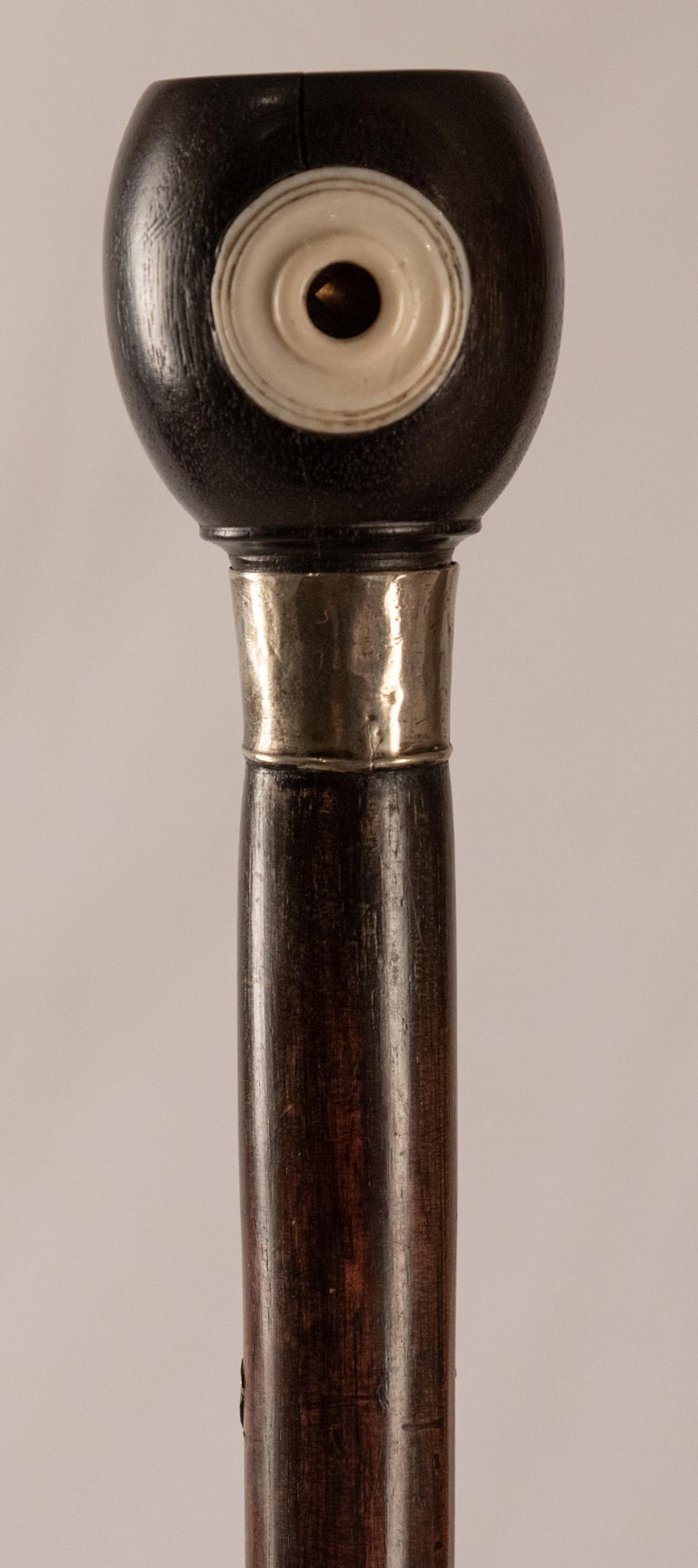 Rosewood and Sterling Walking Stick with Penny Whistle, circa 1900 at ...