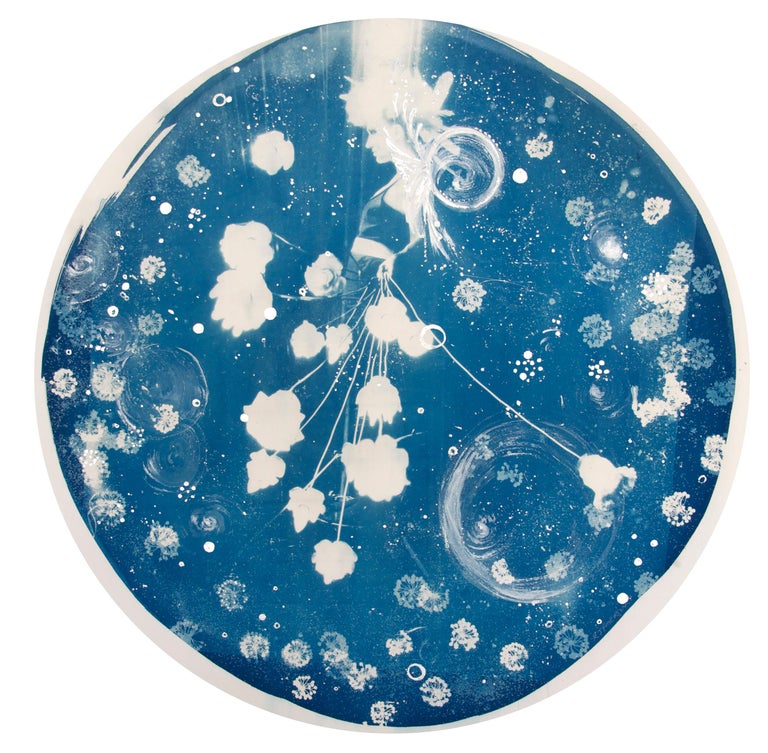Rosie Emerson - Winter Solstice by Rosie Emerson, Round cyanotype with ...