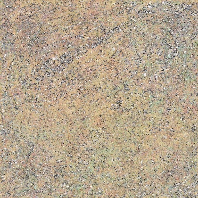 Ross Racine - Abstract Aerial Landscape Limited Edition Print "Walking ...