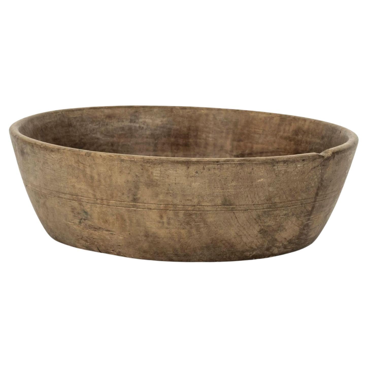 Organic Root Bowl For Sale at 1stDibs