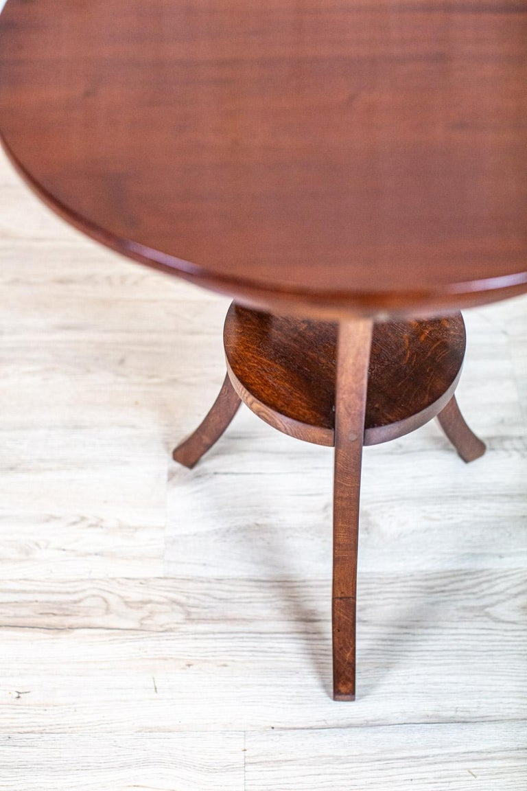 Round Mahogany Side Table from the Early 20th Century For Sale at 1stDibs