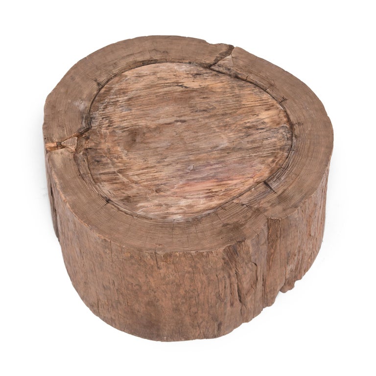 Round Organic Stump Table, circa 1850 at 1stDibs