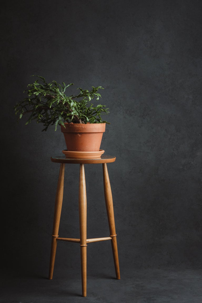 Round Plant Stand Side Table with Glass Top and Turned Legs For Sale at ...