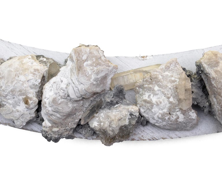 Round Wood Mirror with Fossil Clam Shells and Crystal Points For Sale ...