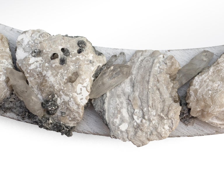 Round Wood Mirror with Fossil Clam Shells and Crystal Points For Sale ...