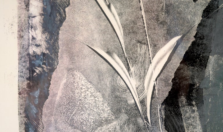 Roxanne Lo - Abstract Botanical Monoprint in Ink on Paper For Sale at ...