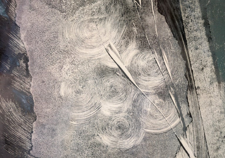 Roxanne Lo - Abstract Botanical Monoprint in Ink on Paper For Sale at ...