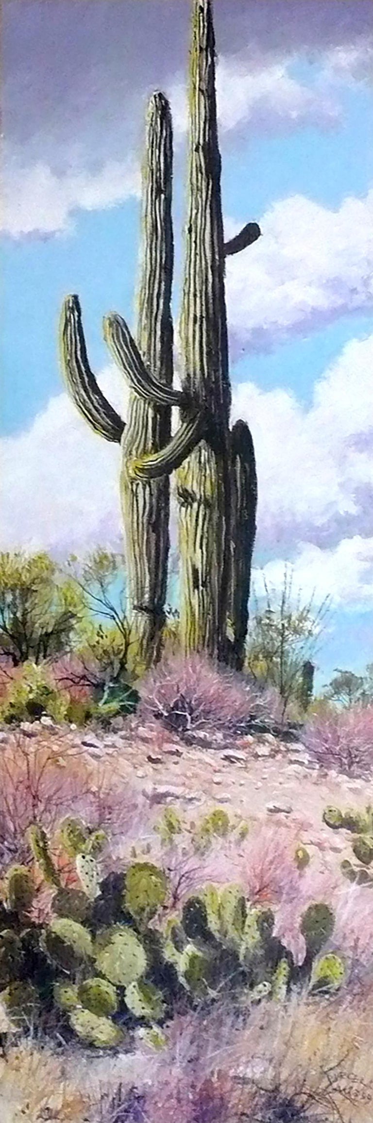 Roy Purcell - Dancing Saguaro For Sale at 1stDibs