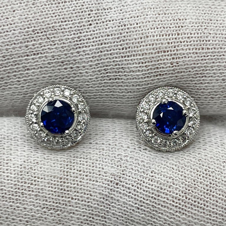 Royal Blue Sapphire Studs in White Gold with Diamonds For Sale at 1stDibs