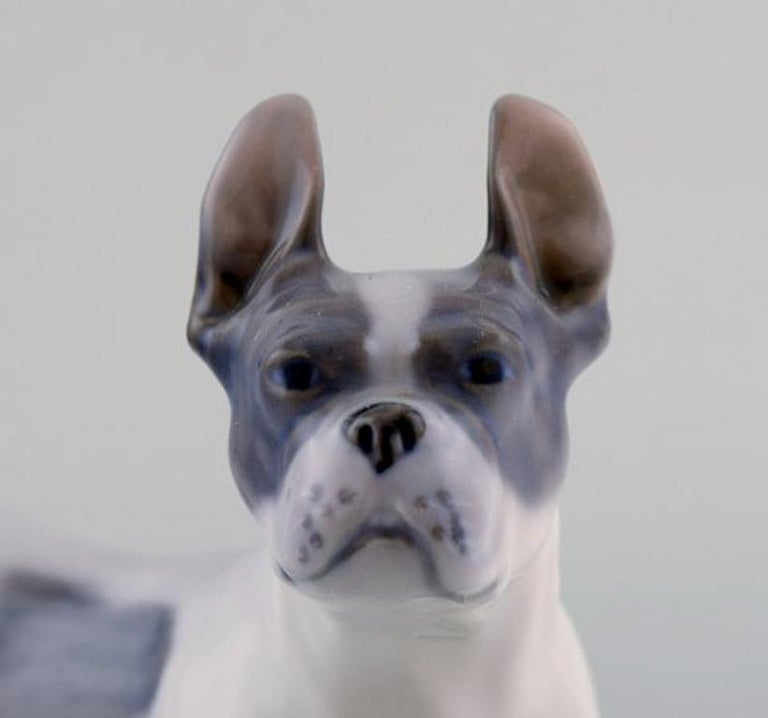 Royal Copenhagen Porcelain Figurine, Boston Terrier, Model Number 1457 ...