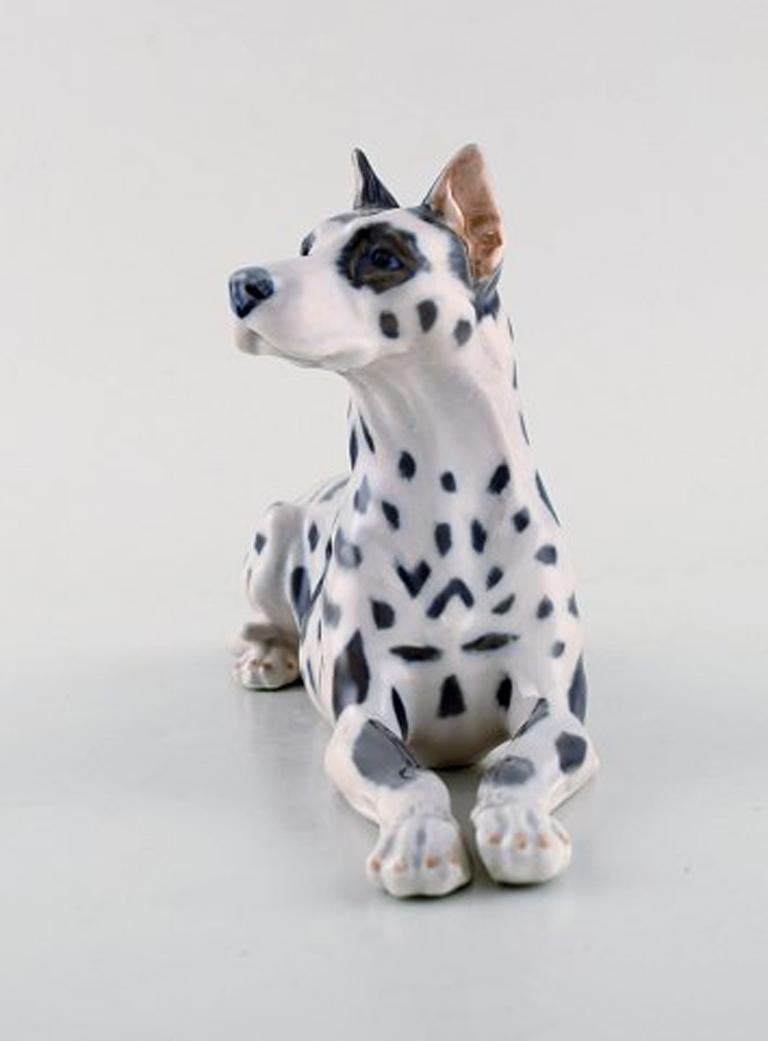 Royal Copenhagen Porcelain Figurine, Great Dane, Model Number 1679 at ...