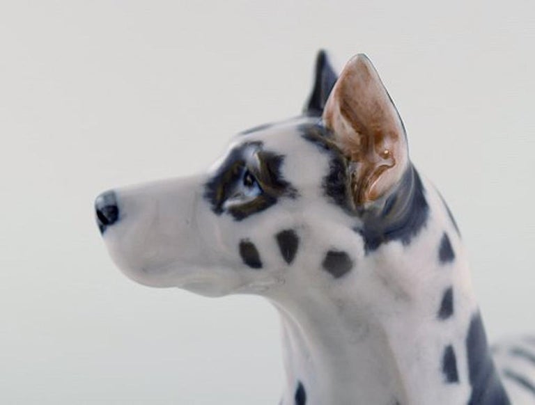 Royal Copenhagen Porcelain Figurine, Great Dane, Model Number 1679 at ...