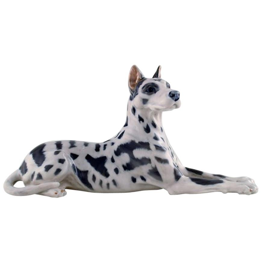 Royal Copenhagen Porcelain Figurine, Great Dane, Model Number 1679 at ...