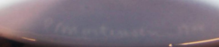 Royal Copenhagen Unique Wall Charger by Carl Mortensen from October ...