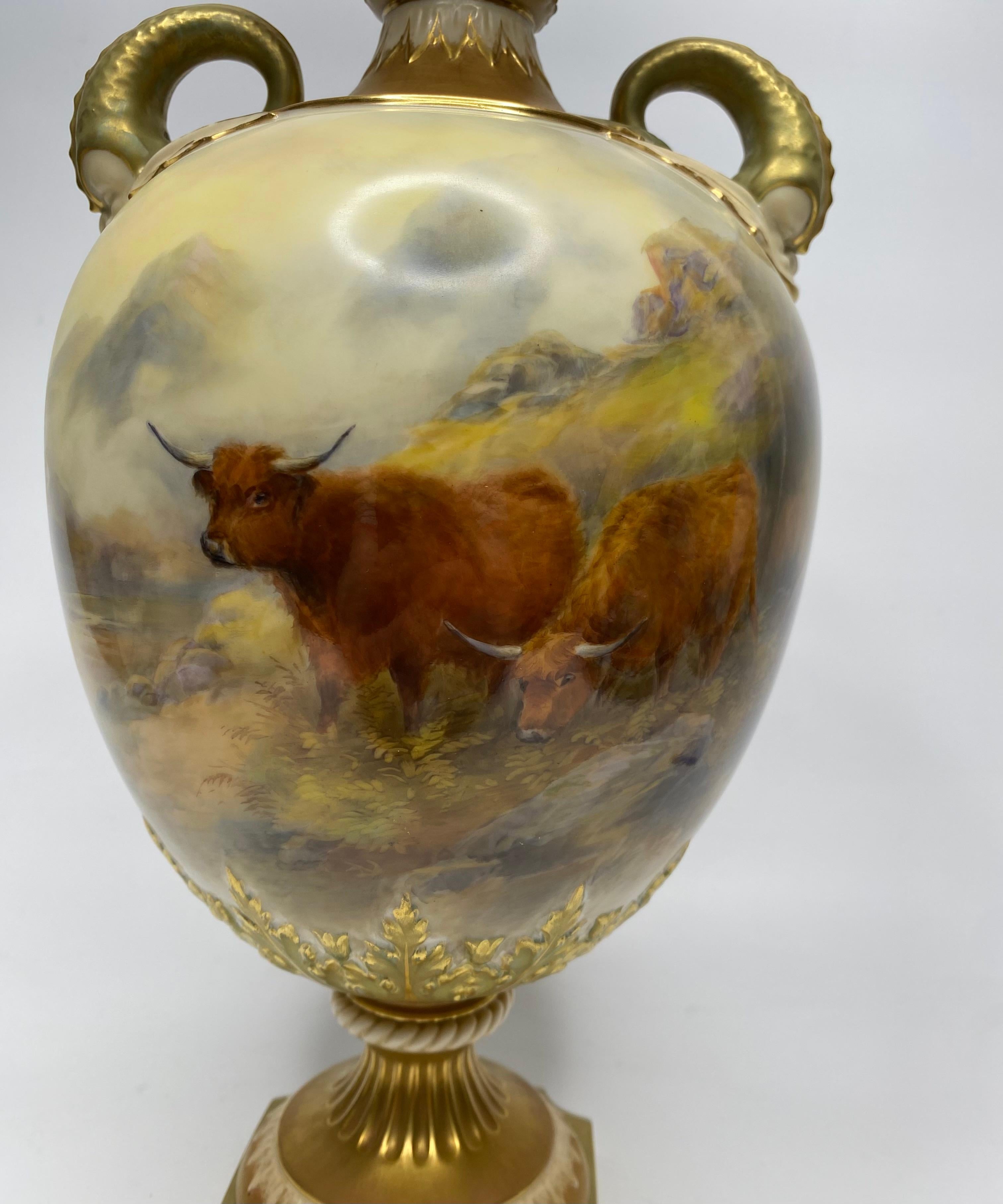 Royal Worcester vase and cover Highland Cattle, John Stinton, d. 1912 ...
