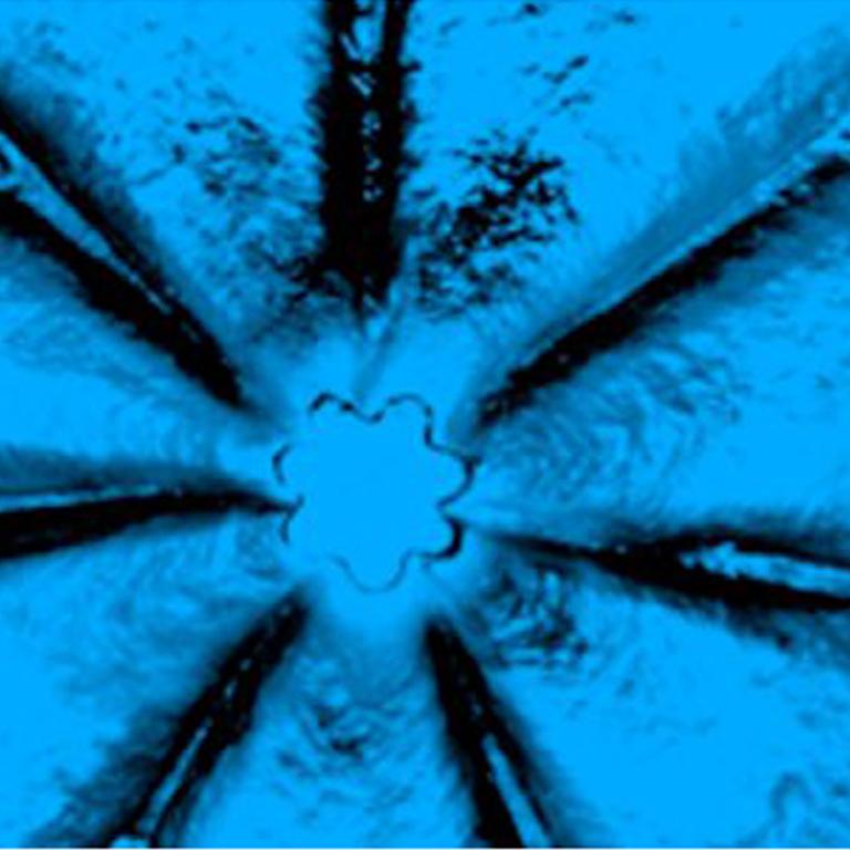 Rubem Robierb - Power Flower N - 4 (Turquoise on Black) For Sale at 1stDibs