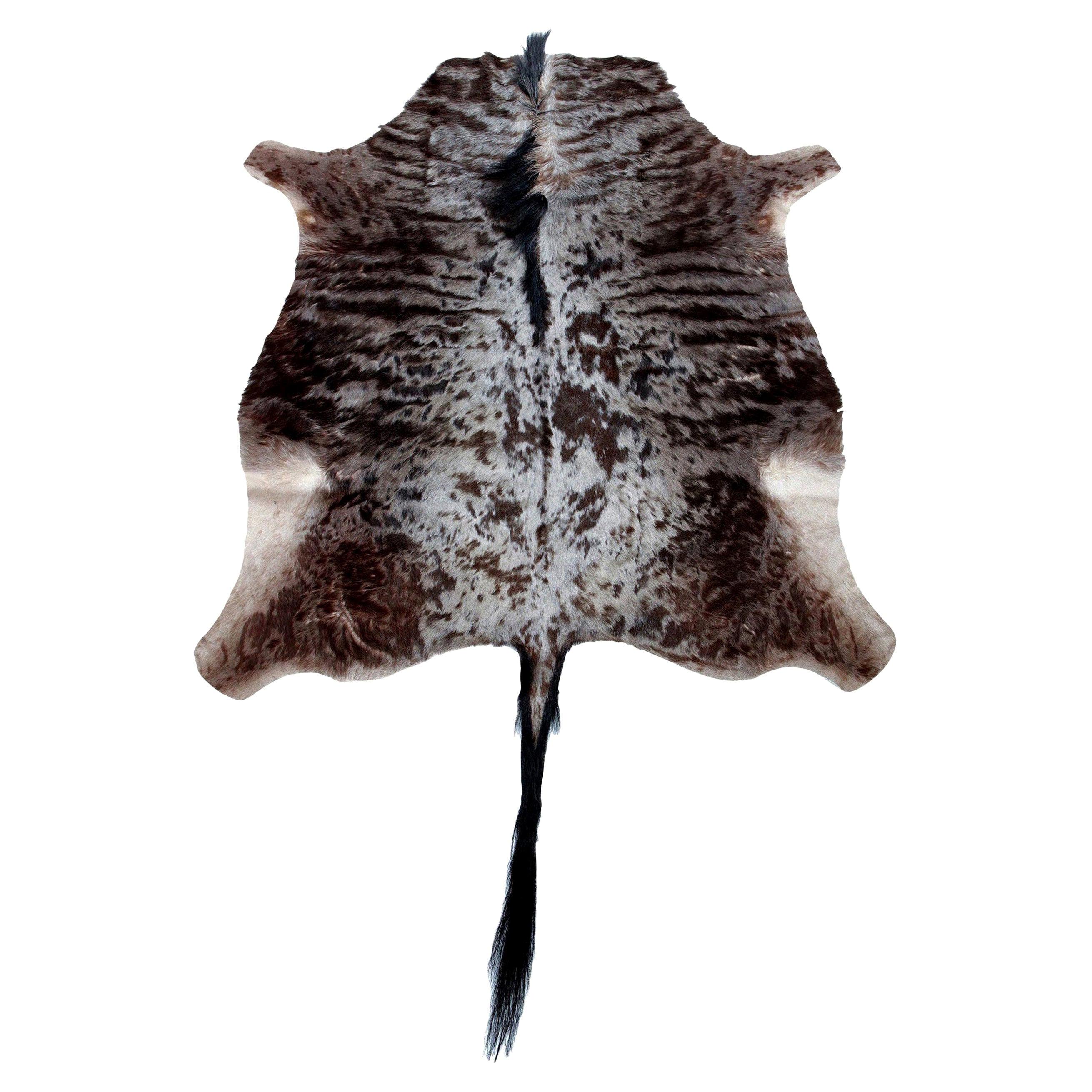 Large and Chic Authentic African Burchell Zebra Hide Rug at 1stDibs