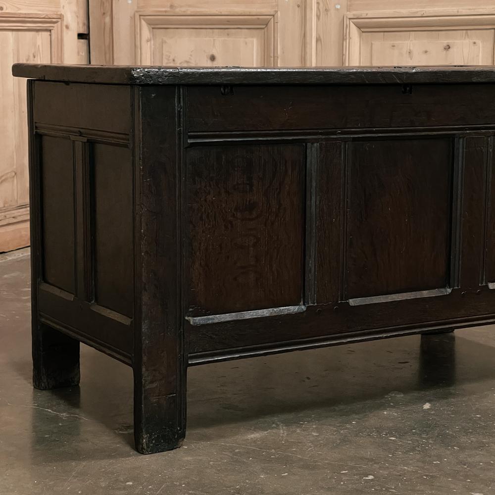 Rustic 18th Century Country French Trunk For Sale at 1stDibs