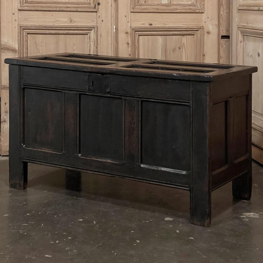 Rustic 18th Century Country French Trunk For Sale at 1stDibs