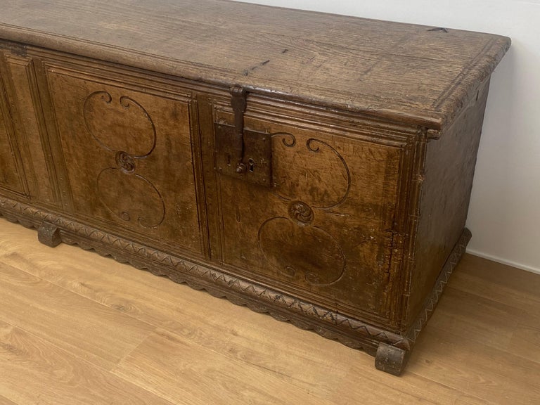 Rustic, Antique Italian Coffer For Sale at 1stDibs