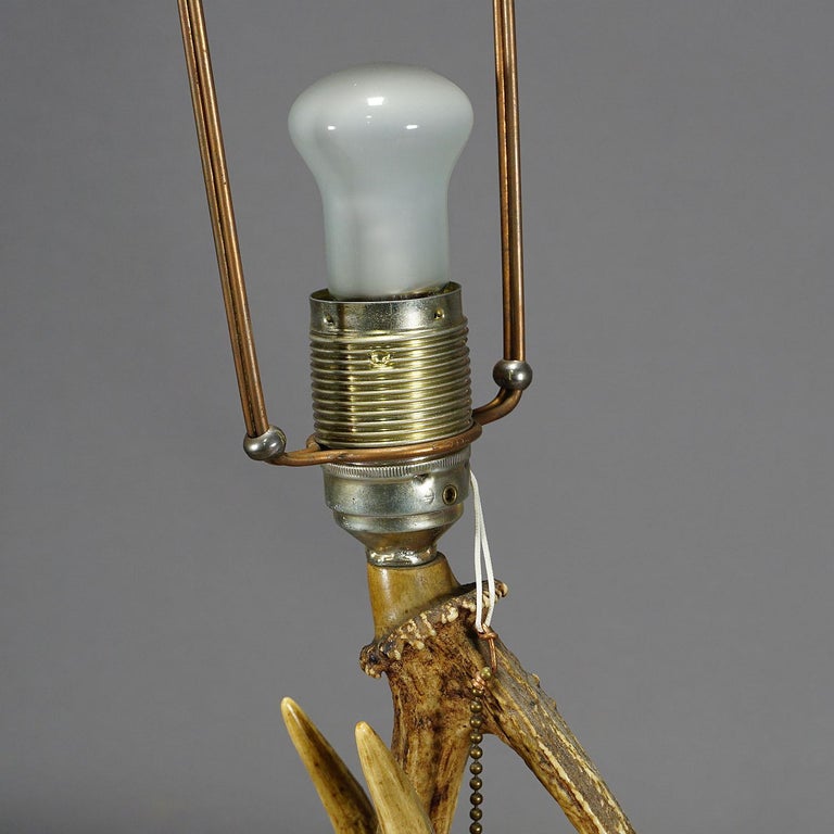 Rustic Antler Desk Lamp with Deer and Virginia Deer Antlers For Sale at ...