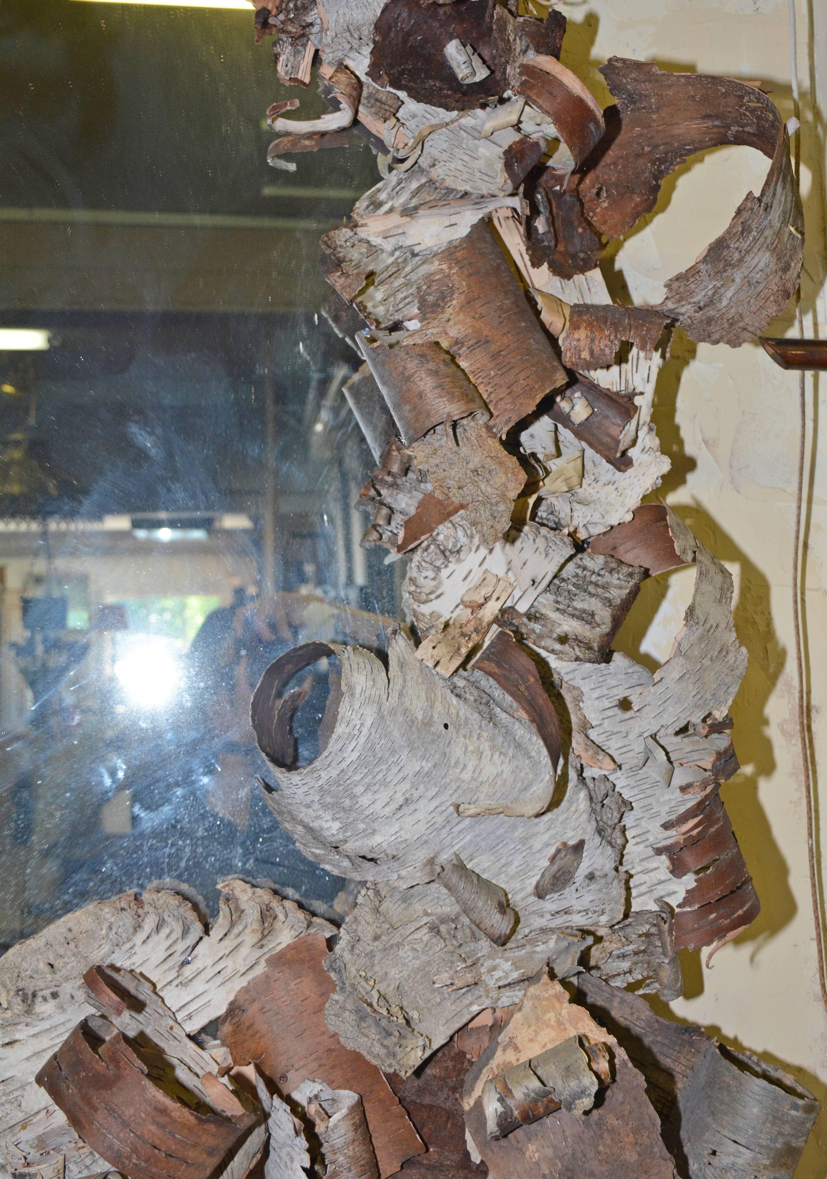 Rustic Curled Birch Bark Mirror For Sale at 1stDibs | birch bark mirrors