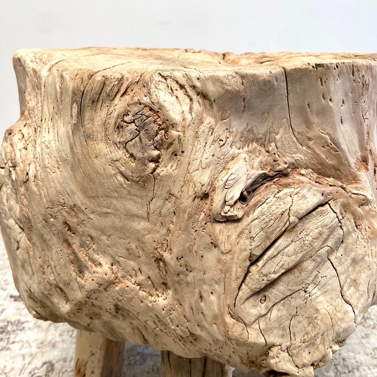 Rustic Elm Wood Stump Side Table For Sale at 1stDibs