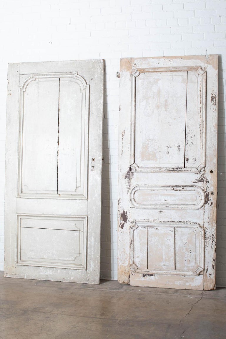 Rustic Pair of 19th Century French Painted Panel Doors For Sale at 1stDibs