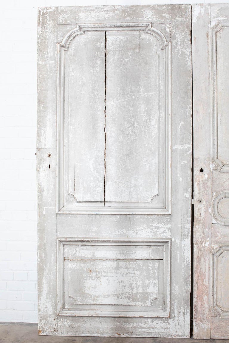 Rustic Pair of 19th Century French Painted Panel Doors For Sale at 1stDibs
