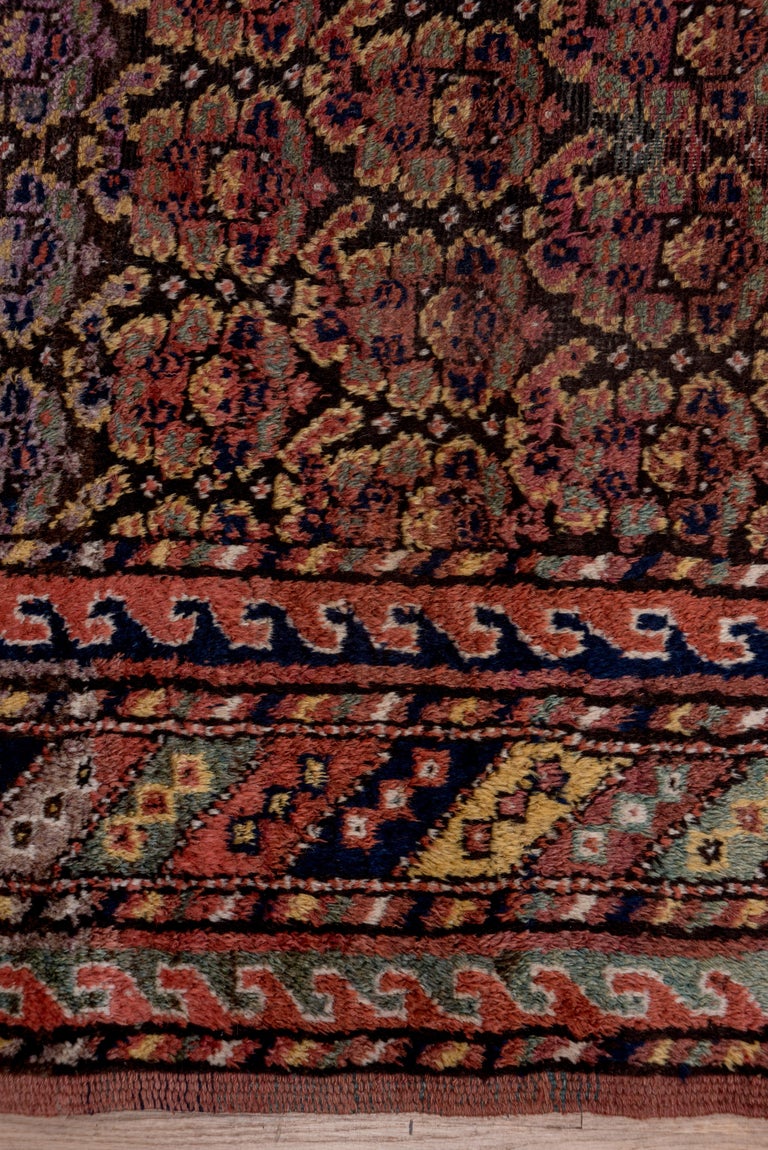 Rustic Persian Kurdish Rug, All-Over Field, Fringes For Sale at 1stDibs