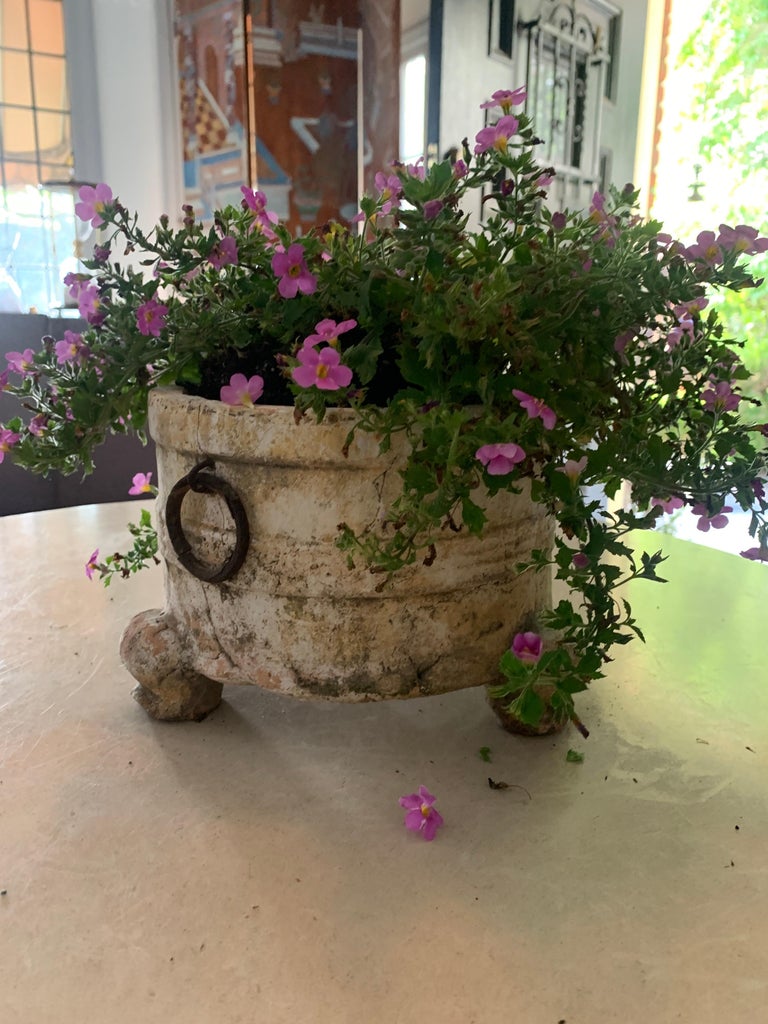 Rustic Stone Planter Jardiniere with Metal Rings at 1stDibs